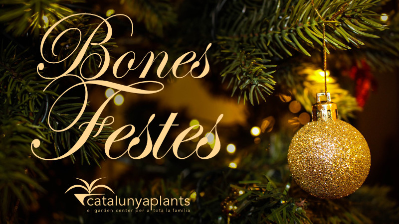 Bones Festes - Garden Catalunya Plants