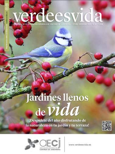 Archives | Garden Catalunya Plants