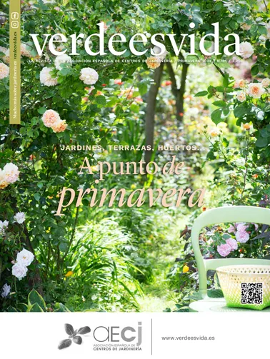 Garden Catalunya Plants | Garden center, centre de jardineria, plantes ...
